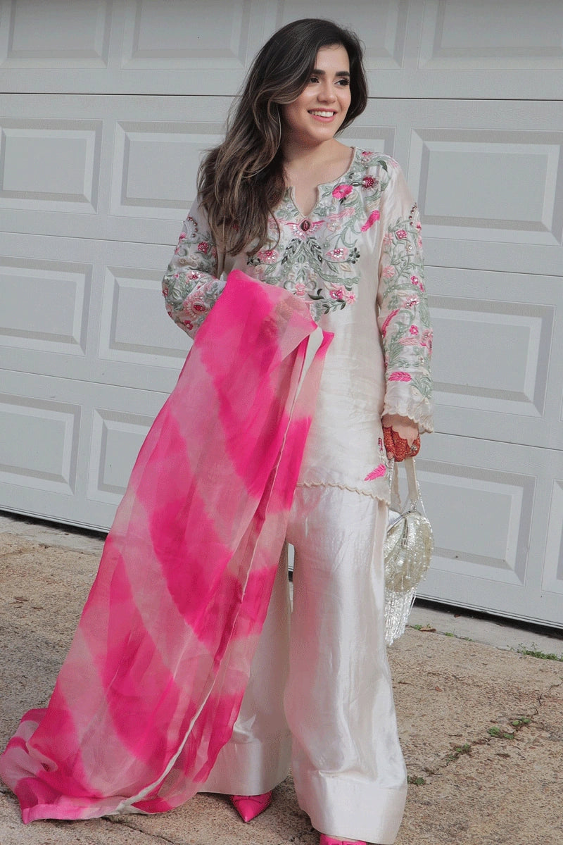 Beautifull Pakistani Dress with Embroidery Sequence Work